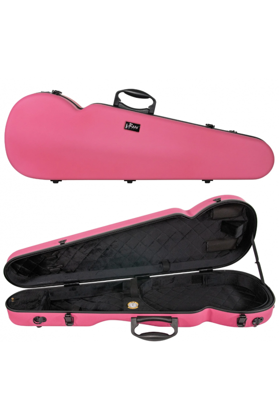 RAAN Violin Cases